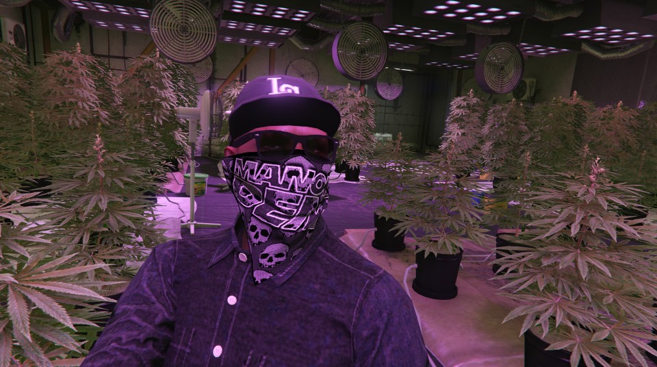 Weed forever by jan--bozz in Grand Theft Auto V - Rockstar Games