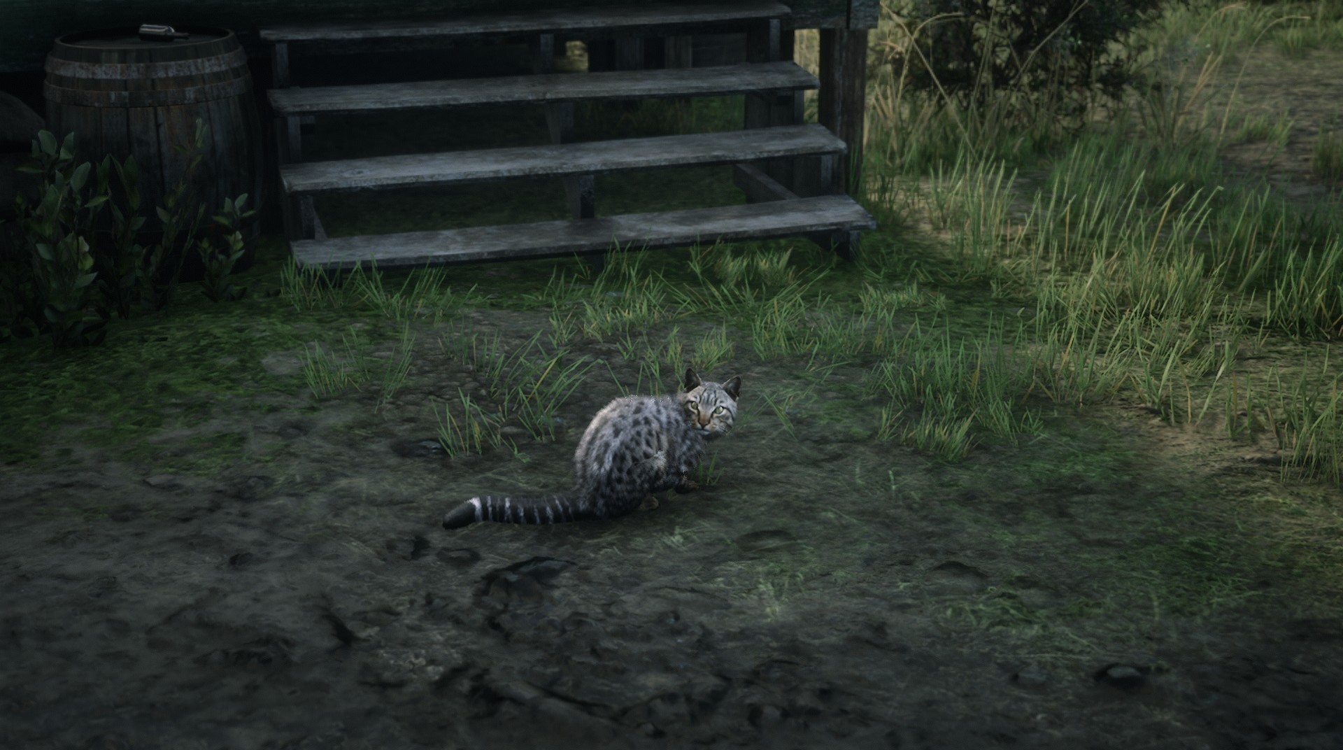 RDR2 Screenshots/Photo Mode Thread (PS4/X1) - Red Dead Redemption 2 ...