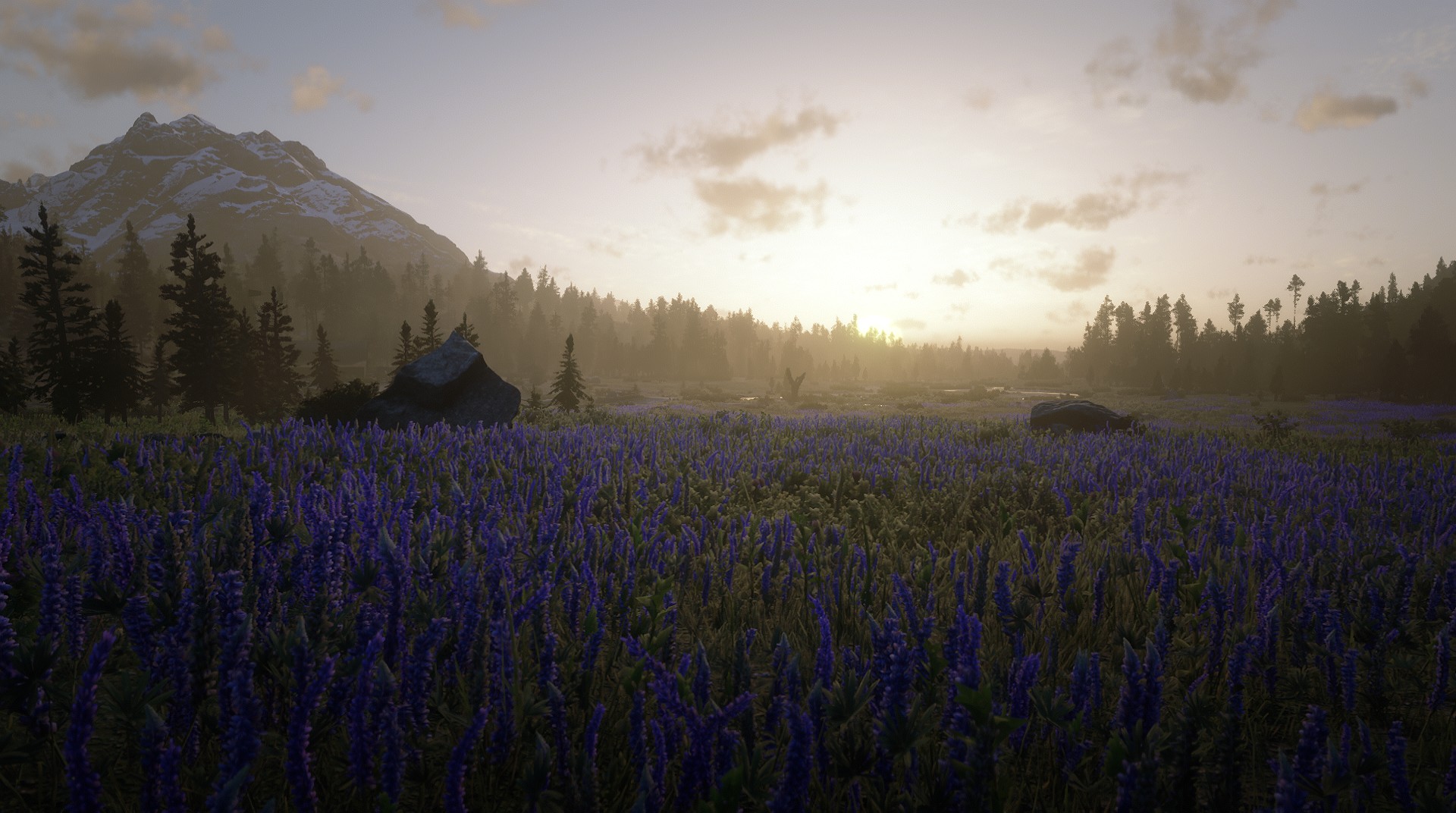 The Scenery of Red Dead Online - Page 5 - Red Dead Online - GTAForums