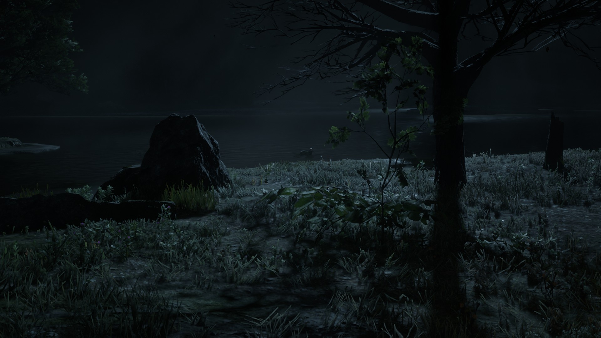 Rocky Seven by MiyabiixxTH in Red Dead Redemption 2 - Rockstar Games