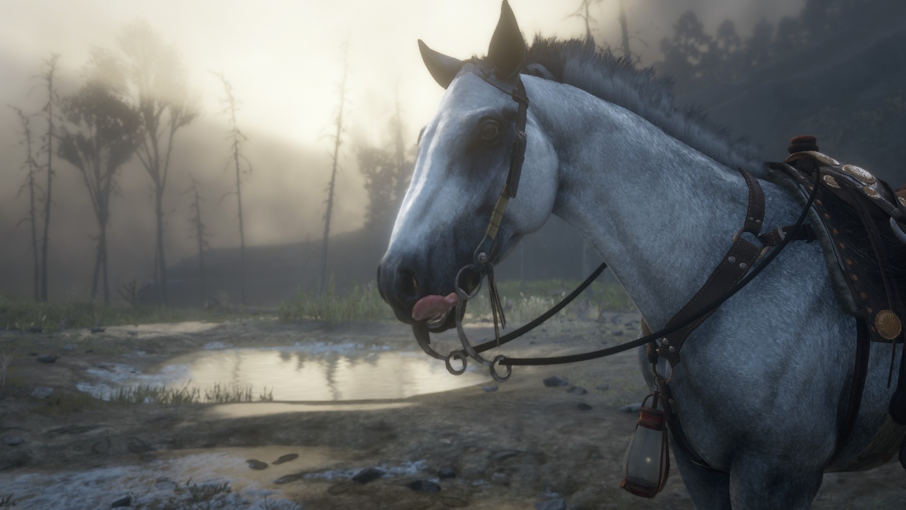 Cotorra Springs by ariiimara in Red Dead Redemption 2 - Rockstar Games