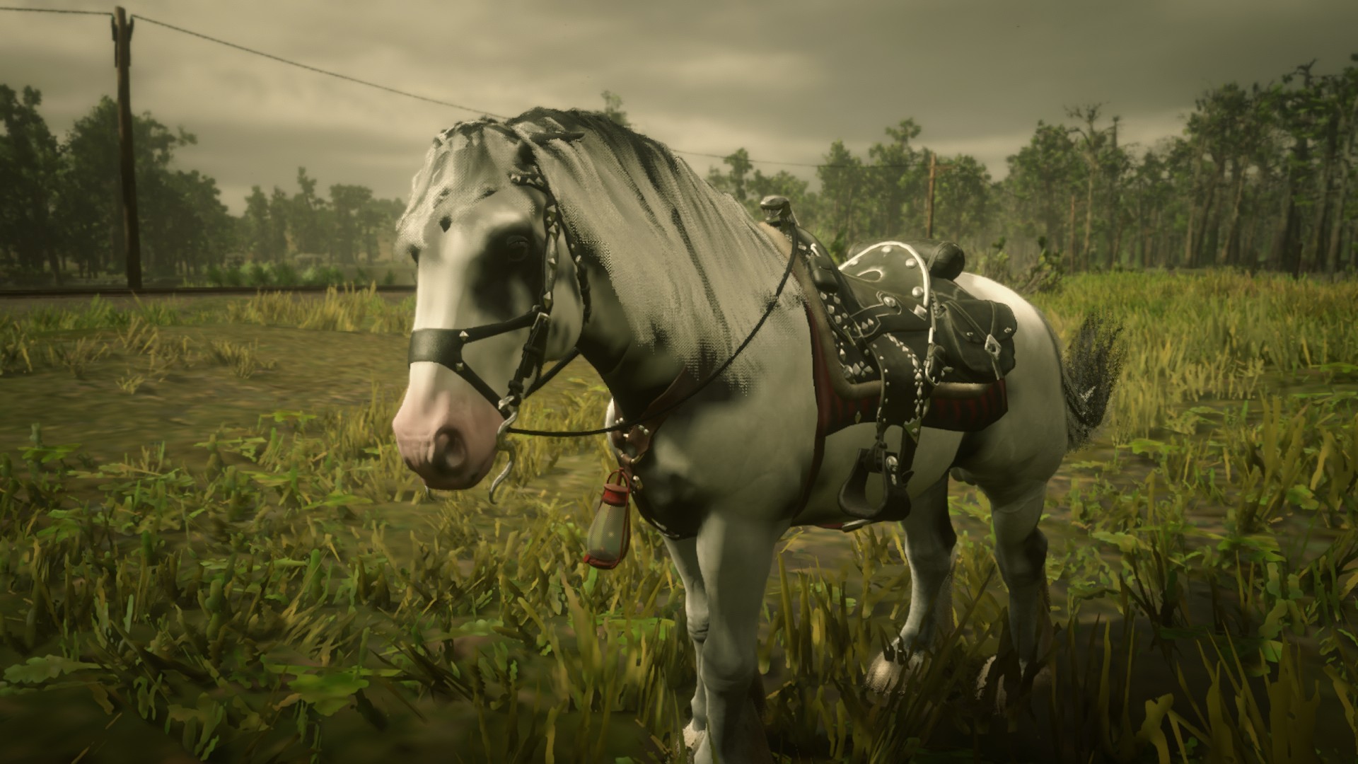 Bayou Nwa by XxAfter_DarkxX in Red Dead Redemption 2 - Rockstar Games