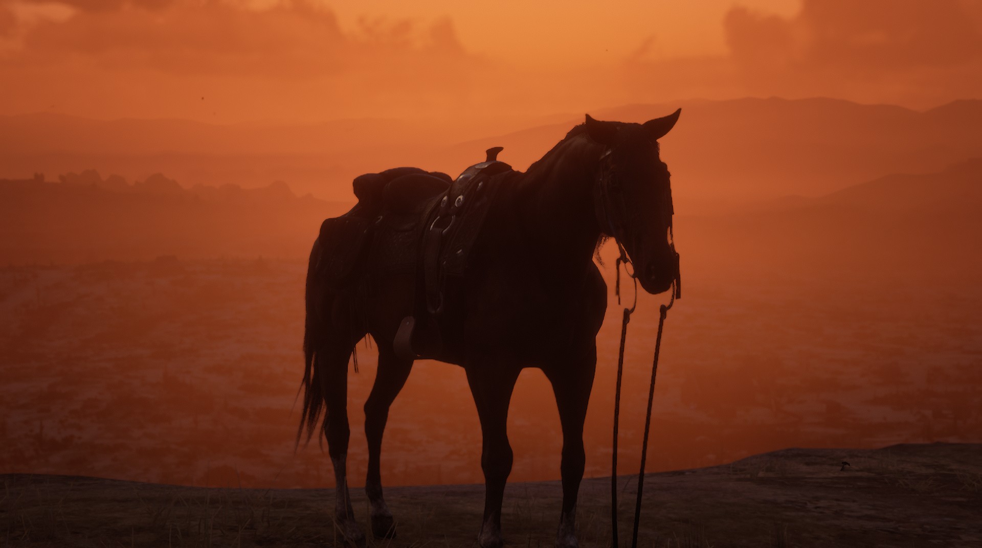 The Equestrian Corner - Horse Photography - Page 2 - Red Dead ...