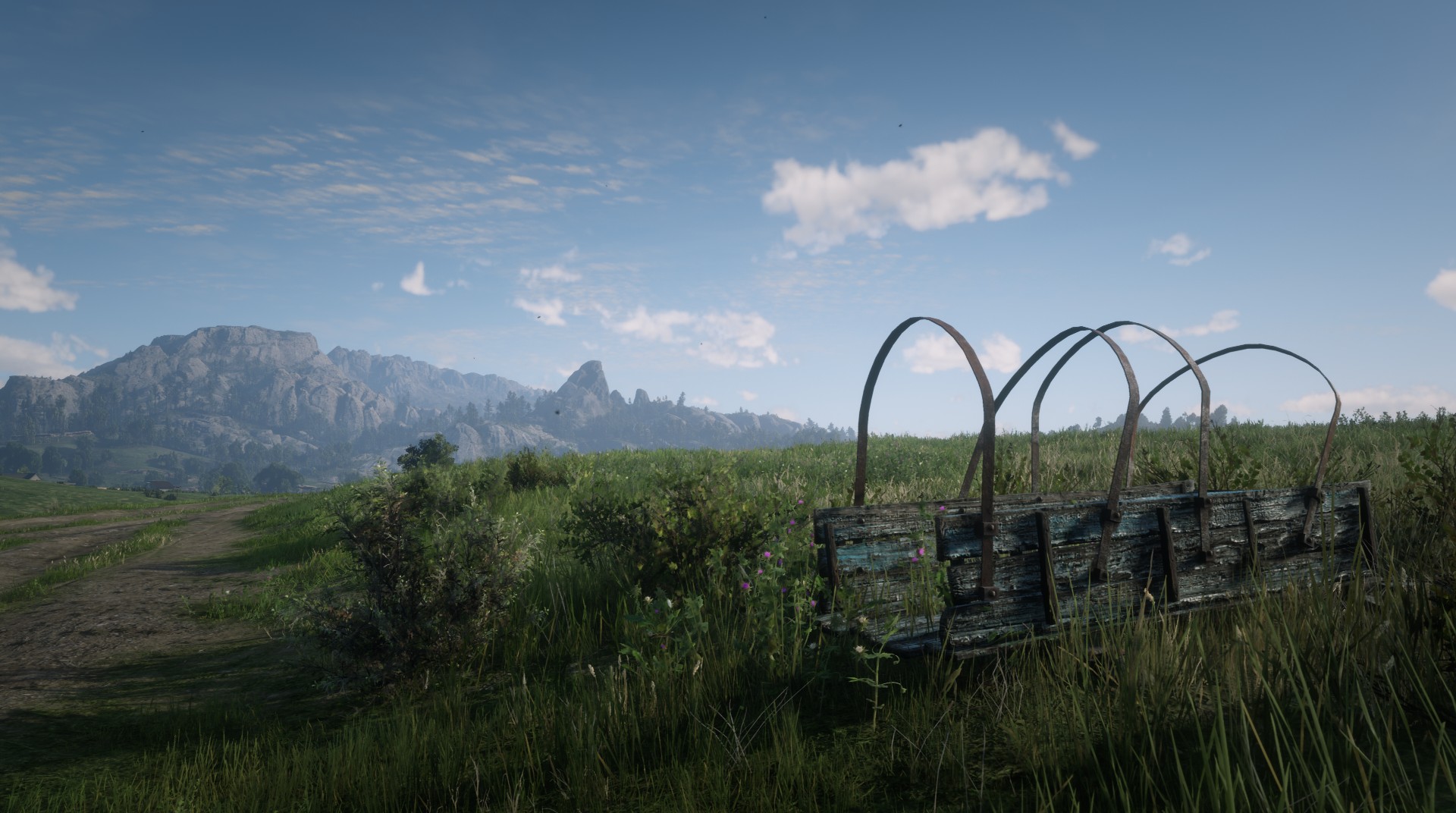 Scarlett Meadows by Broth3rGr1mm in Red Dead Online - Rockstar Games