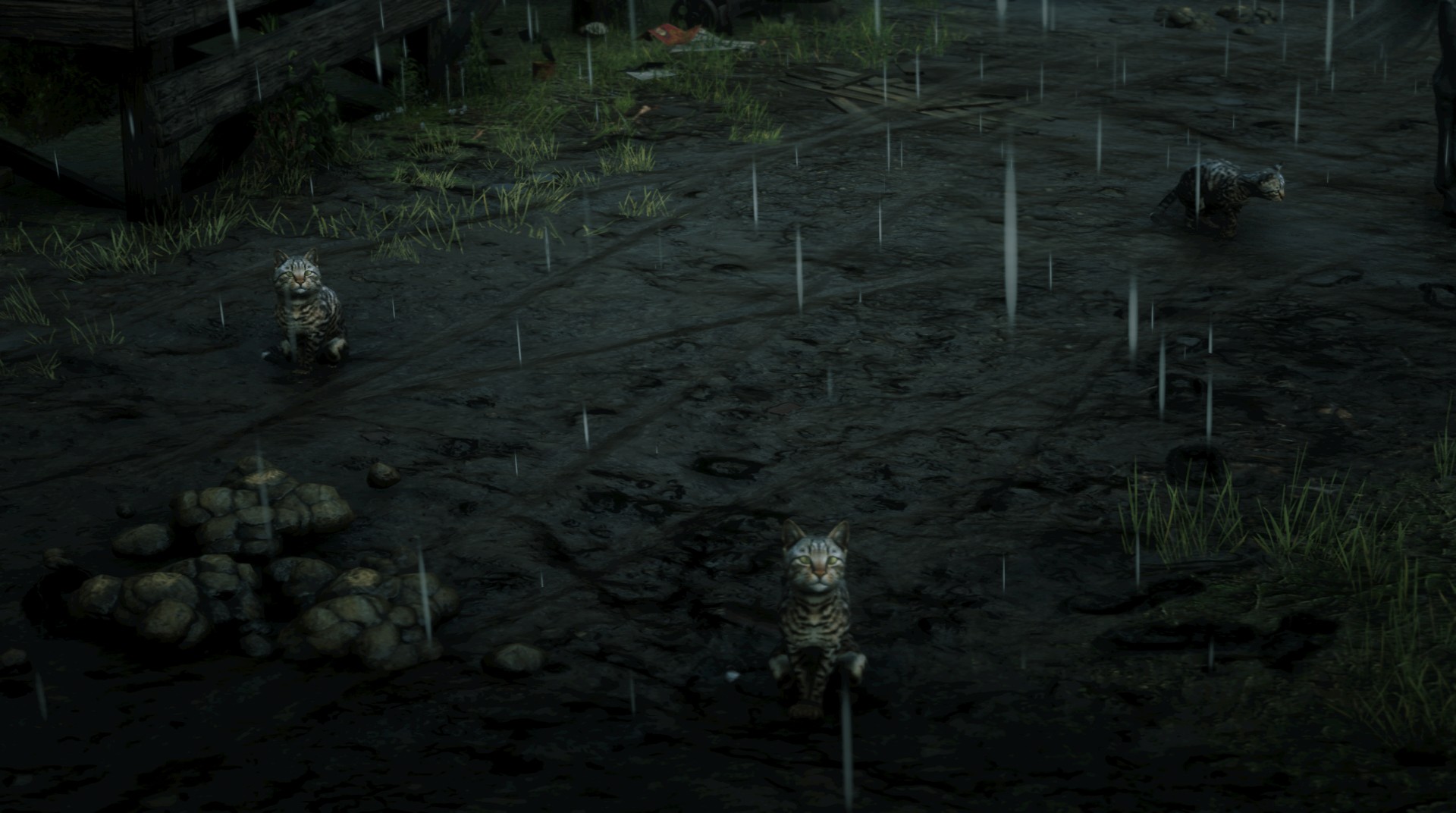 In Red Dead Redemption 2 cats will hunt and catch small animals and ...