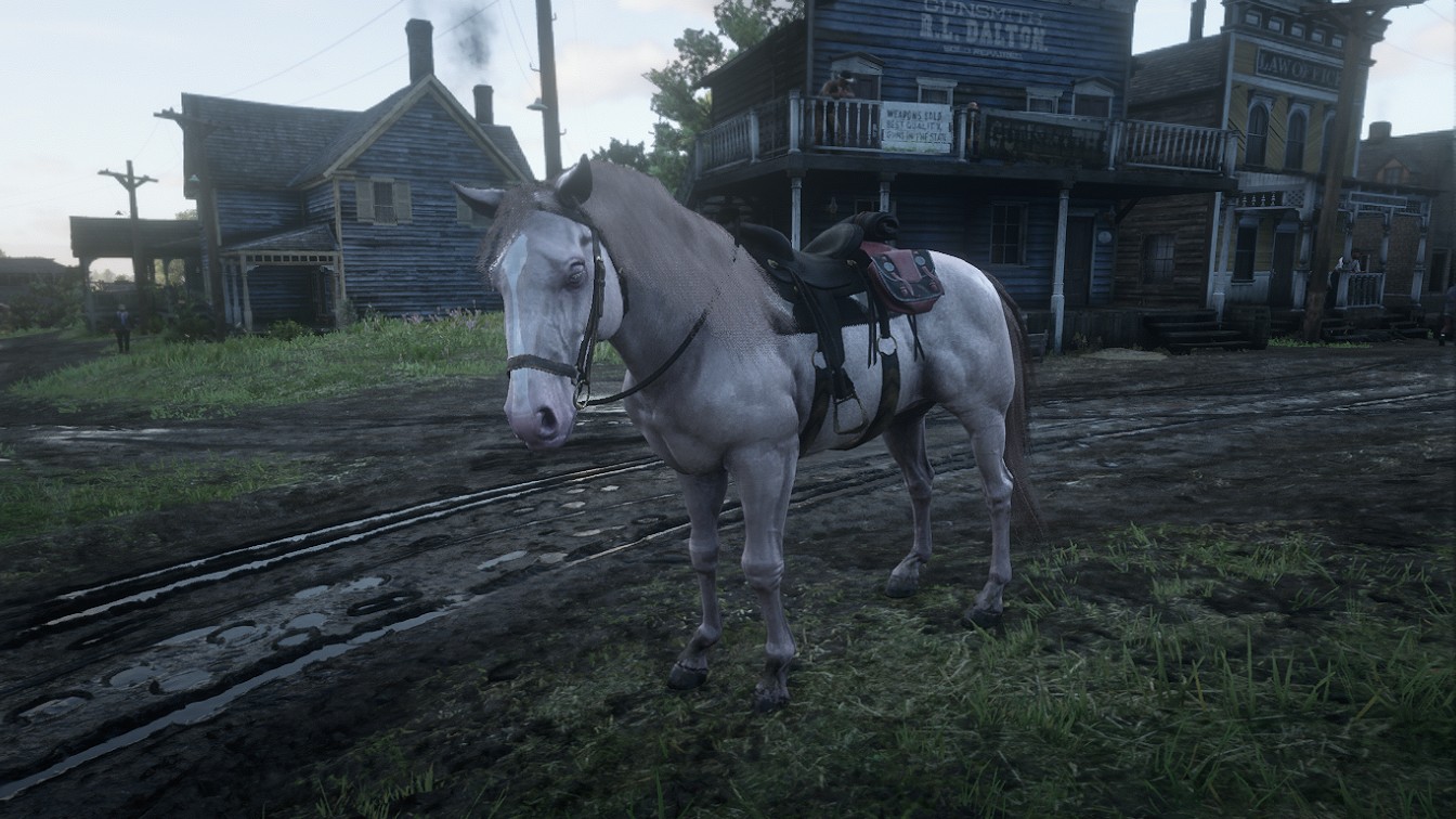 Valentine by AspenGirl5 in Red Dead Redemption 2 - Rockstar Games