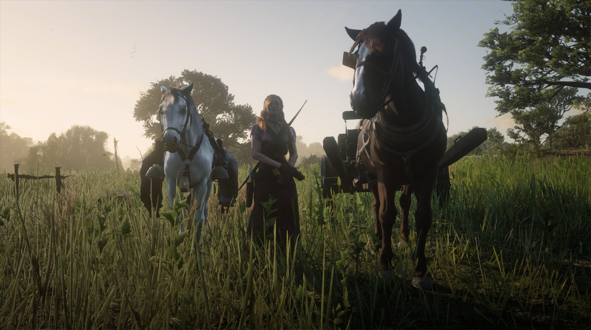 Pacific Union Railroad by redivy420 in Red Dead Redemption 2 - Rockstar ...