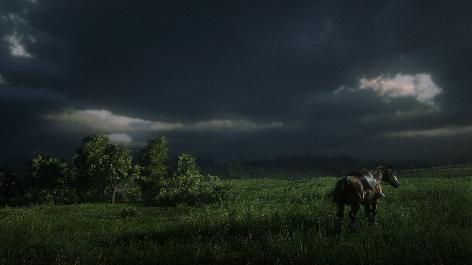 Emerald Ranch by Deugs- in Red Dead Redemption 2 - Rockstar Games