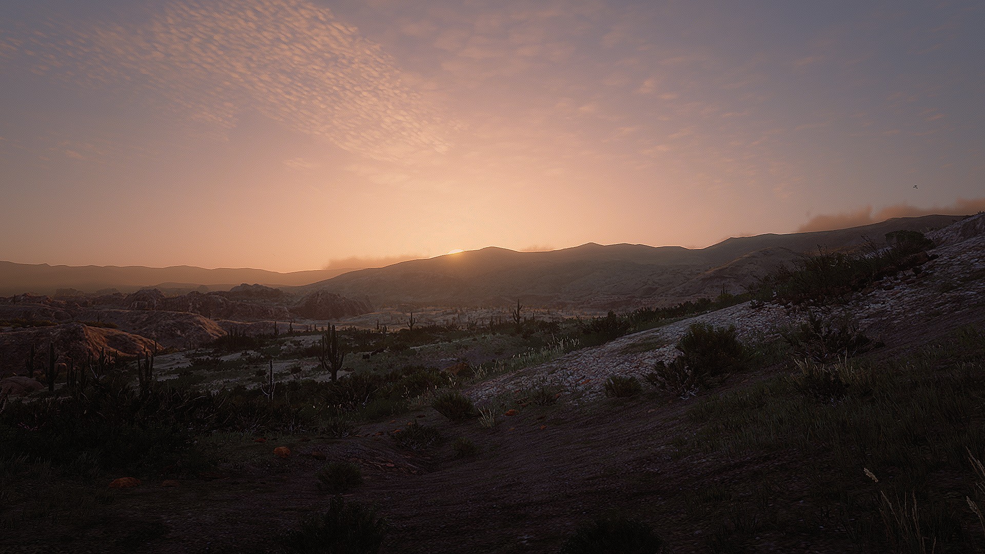 Cholla Springs by Lil_Violent in Red Dead Redemption 2 - Rockstar Games