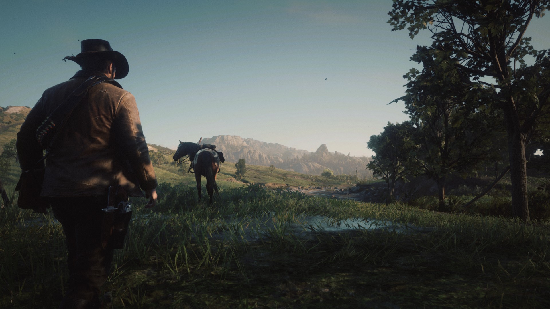 RDR2 PC Photo Mode Screenshots - Page 17 - PC - GTAForums