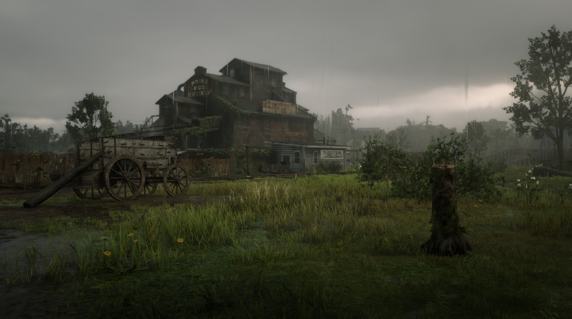 Bayou Nwa by FrankTaggliano in Red Dead Online - Rockstar Games